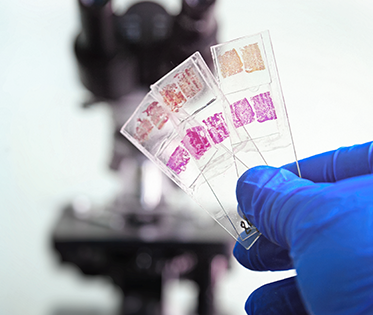 Seminar Series: Instant Insights - TA仪器