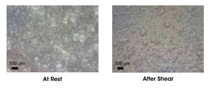 Optical Plate - TA仪器